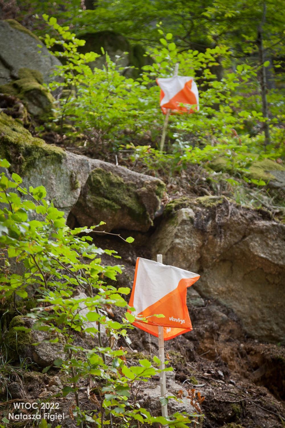 British Orienteering