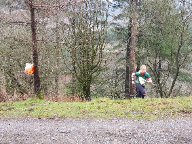 British Orienteering