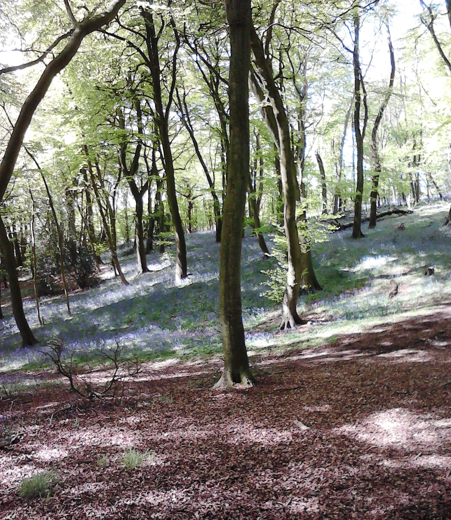 British Middle Championships 2015 - Venue