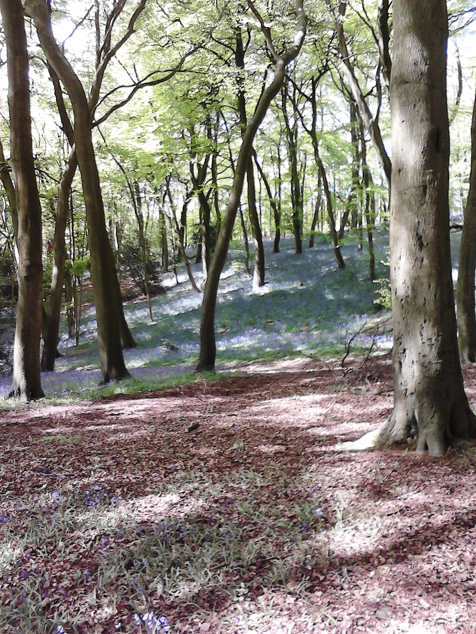 British Middle Championships 2015 - Venue